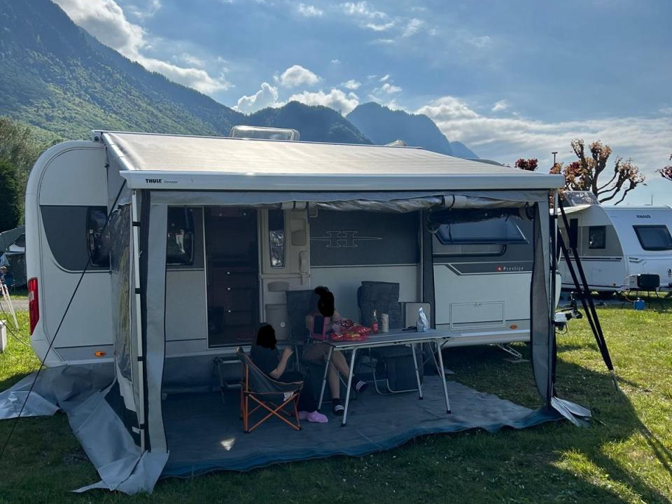 Aucun véhicule trouvé